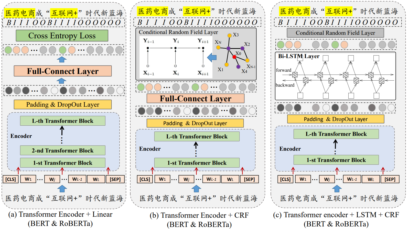 can't load the image!